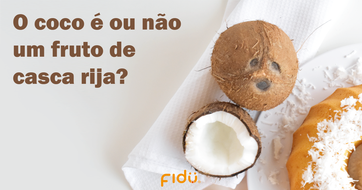 ¿El coco es o no una nuez? - Fidu | Alimentos Inclusivos – Fidufoods
